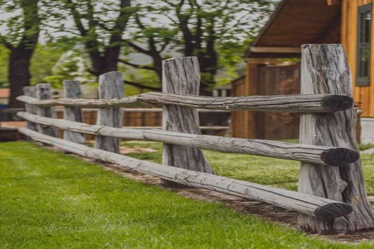21 Inexpensive Privacy Fence Ideas: Cost & Guide